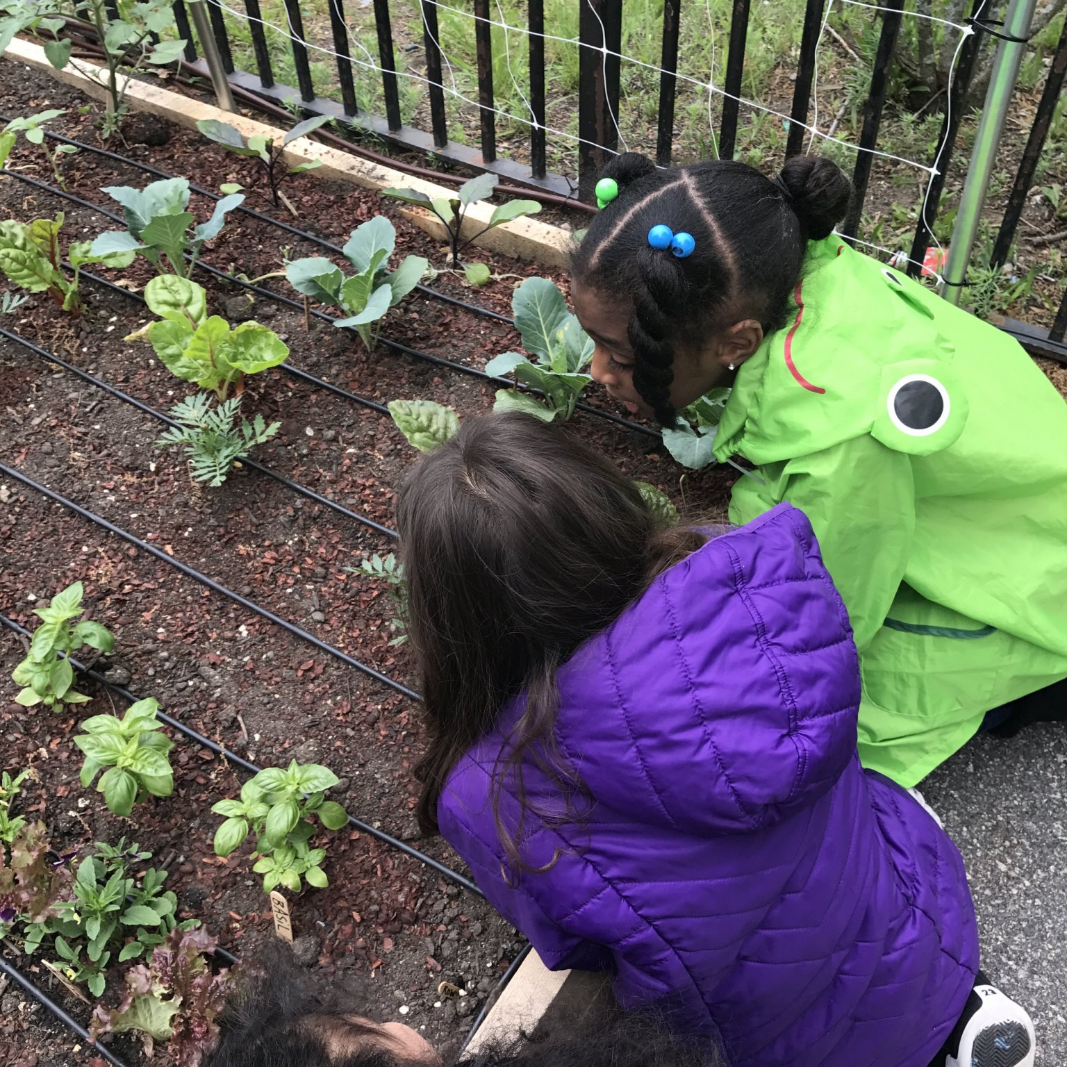 Math and Literacy centers