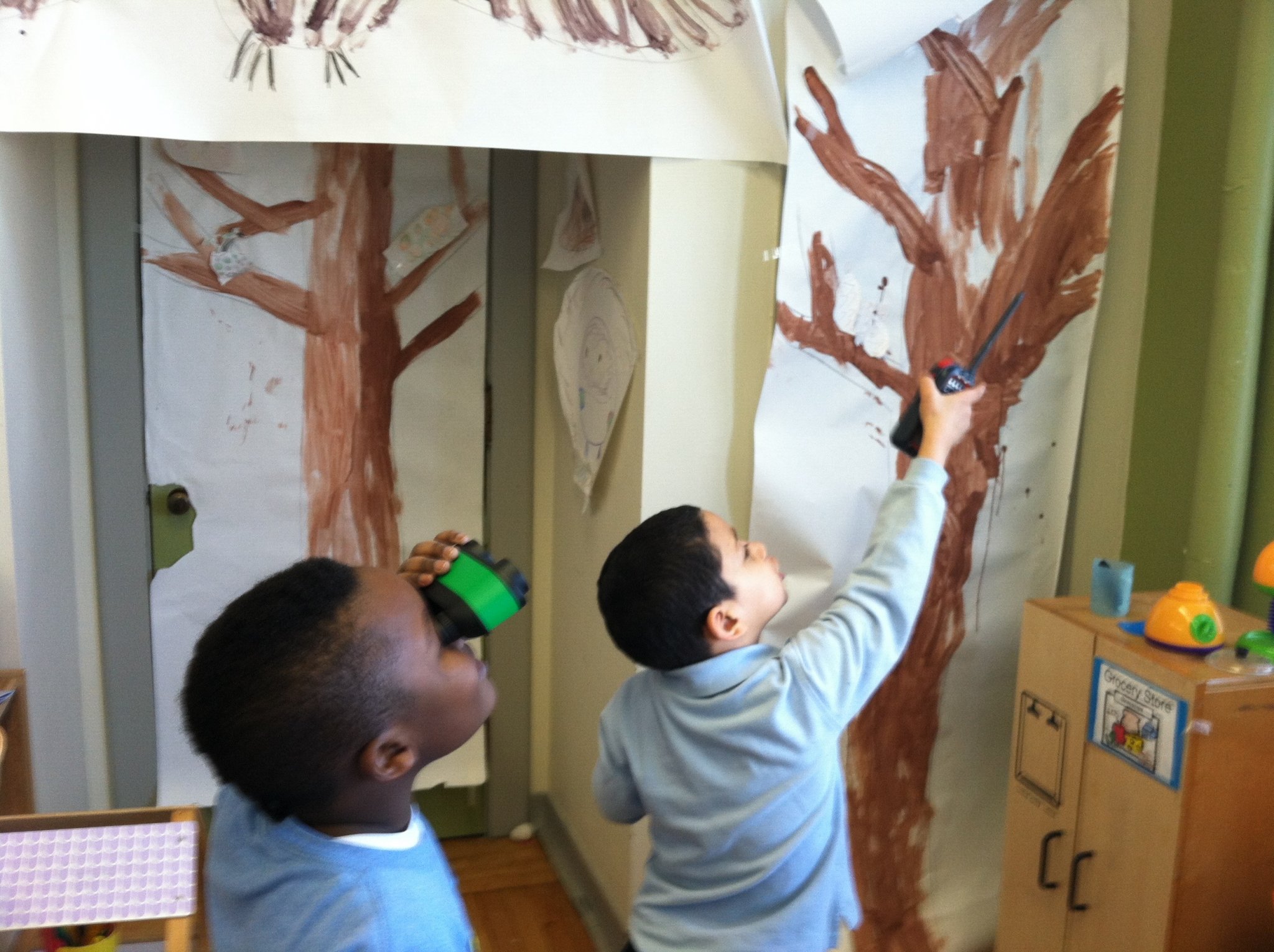 Learn about the plant life cycle